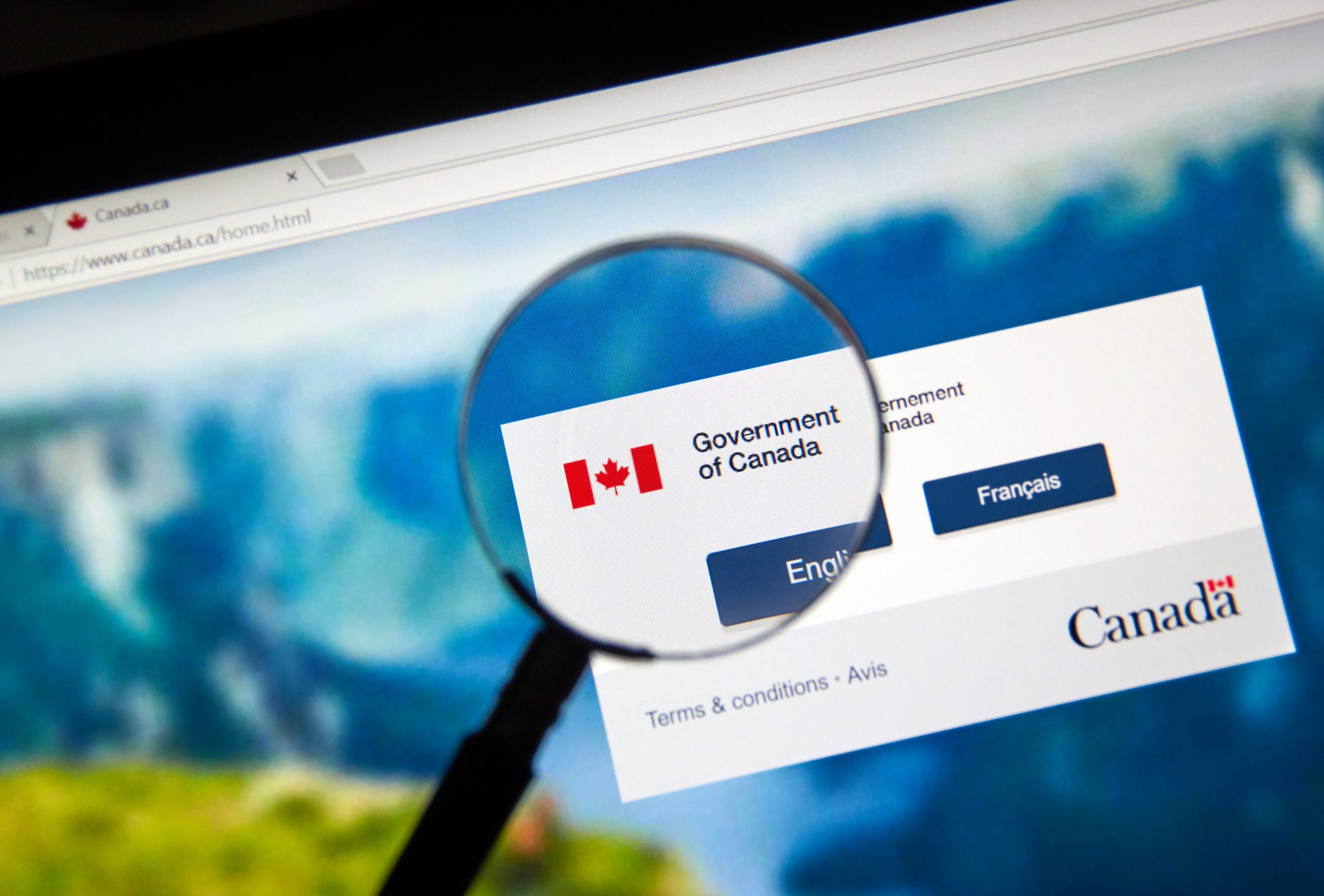 Canadian Laws Protecting People with Intellectual Disabilities - CLTB ...